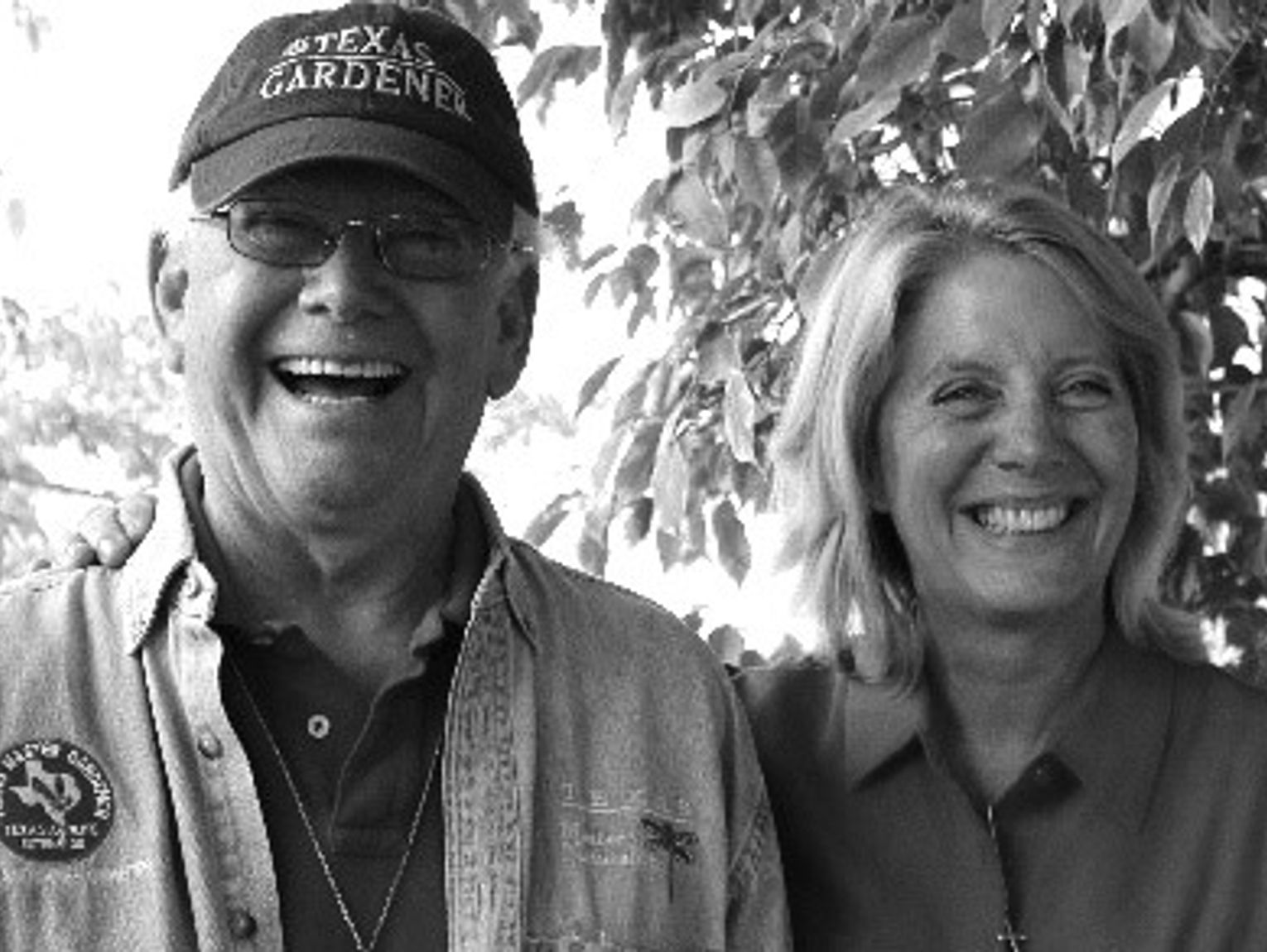 Battling back dratted gnats with simple solutions